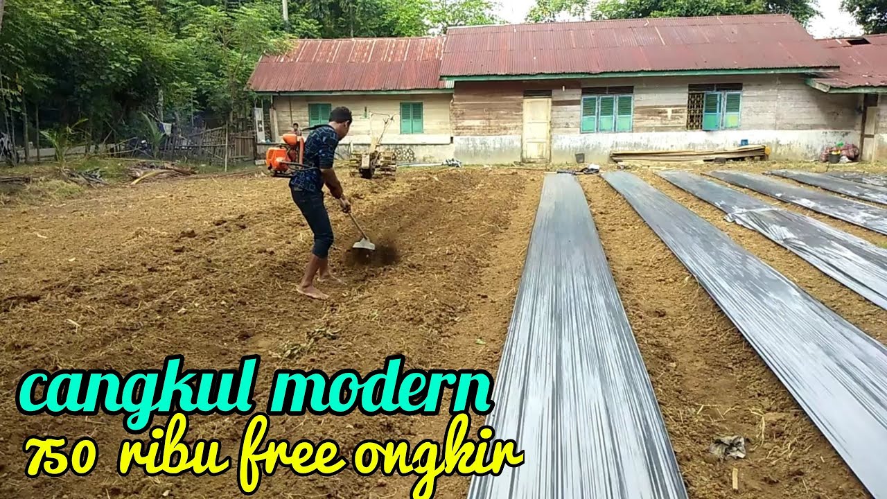 Mesin Cangkul Modern - Membuat Bedengan Cabe Super Mudah - YouTube