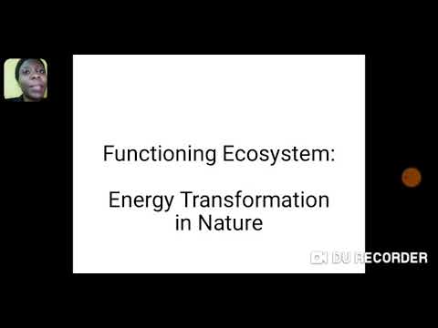 Energy Transformation in Nature. SS1. - YouTube