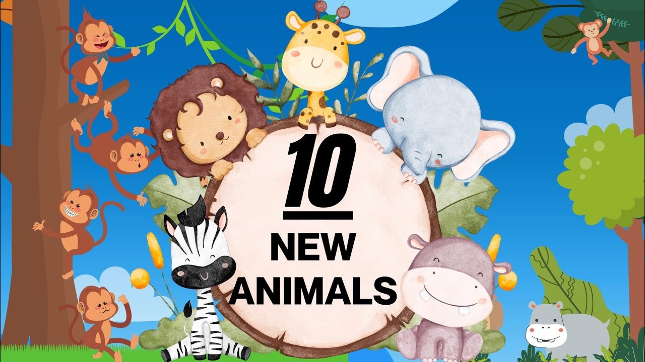 10 New Animals | Animals for toddlers | Cartoon animals ...
