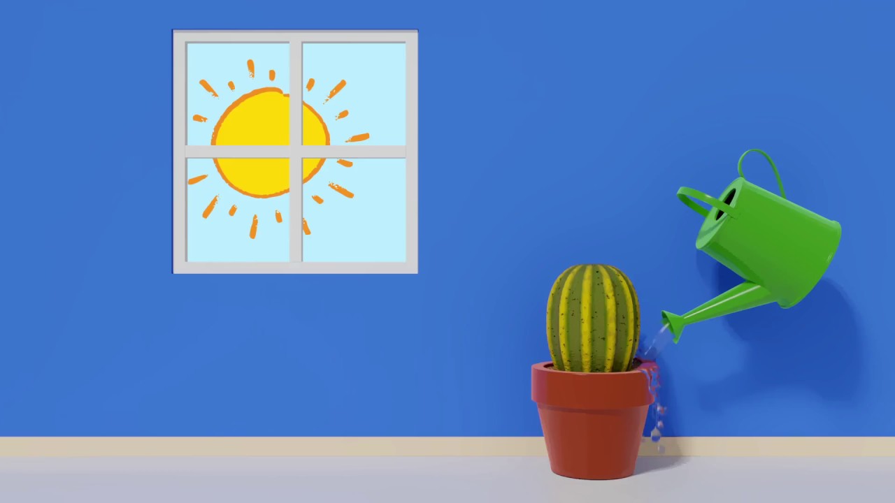 3D Infographic - Water Conservation - YouTube