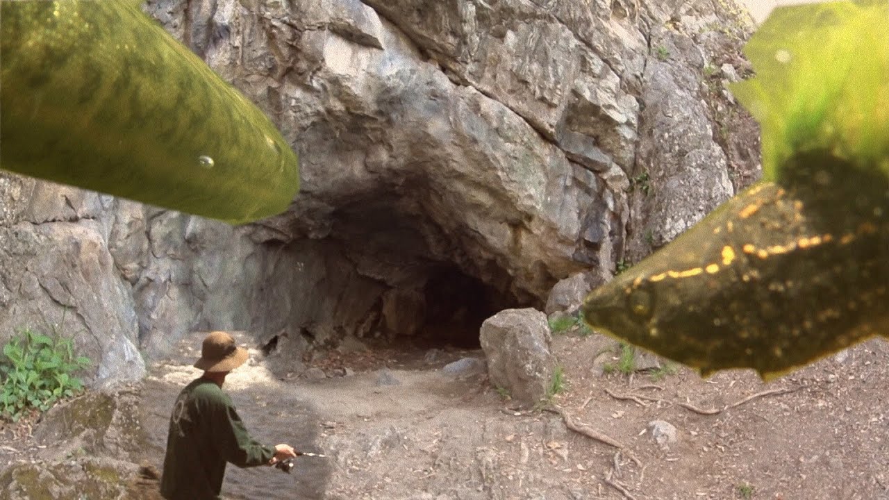 Kayaking New Jersey : Caves, Pickerel & Turtles 5/1/22 - YouTube