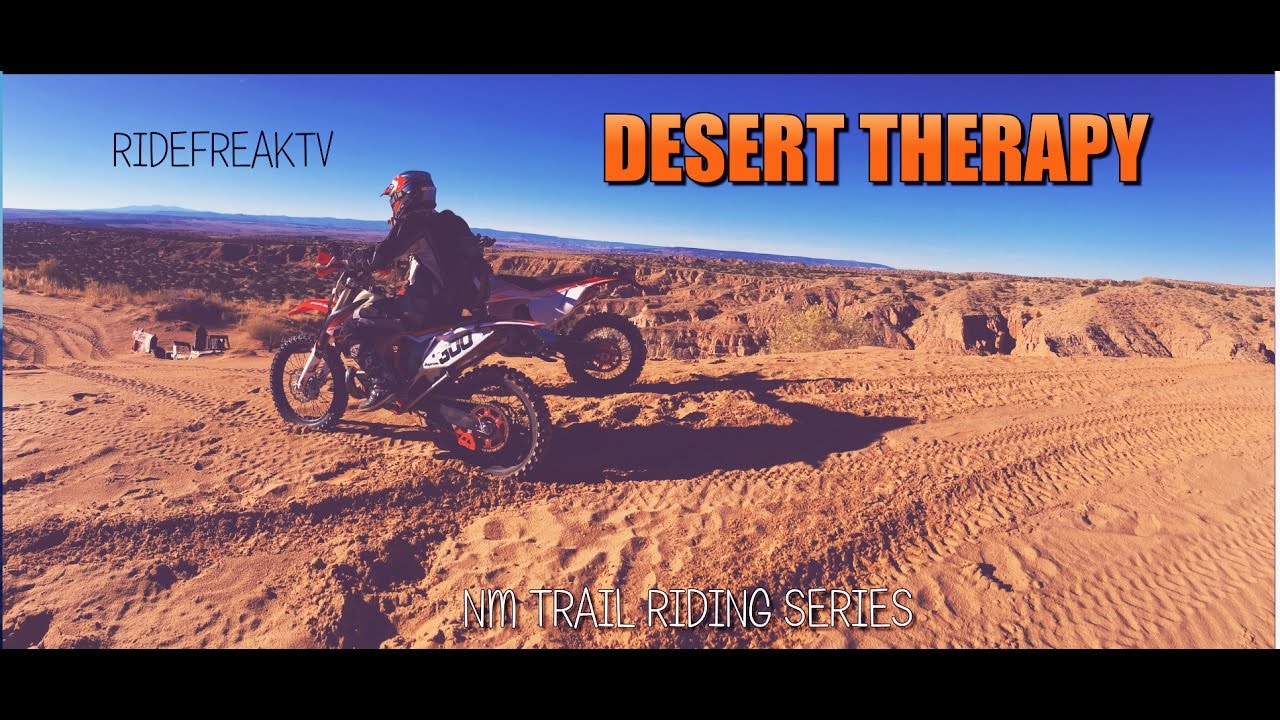 Desert Therapy - YouTube