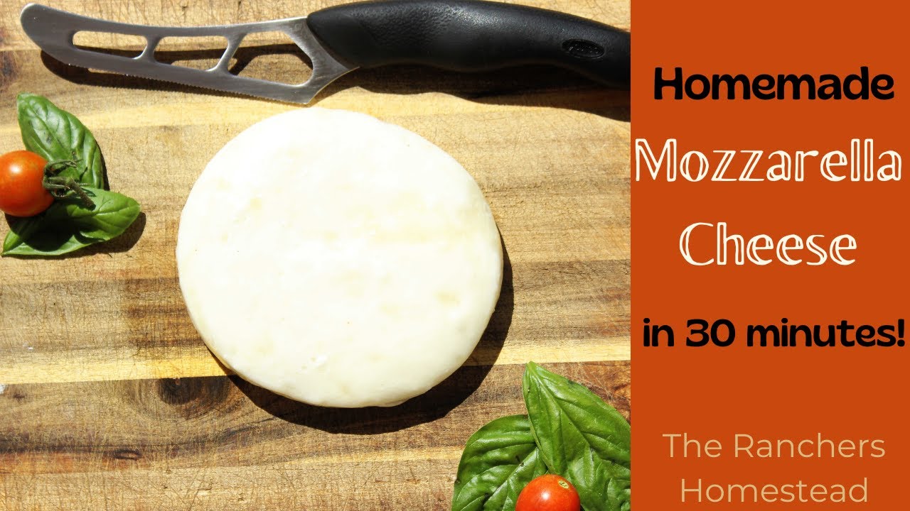How to Make Homemade Mozzarella Cheese - YouTube