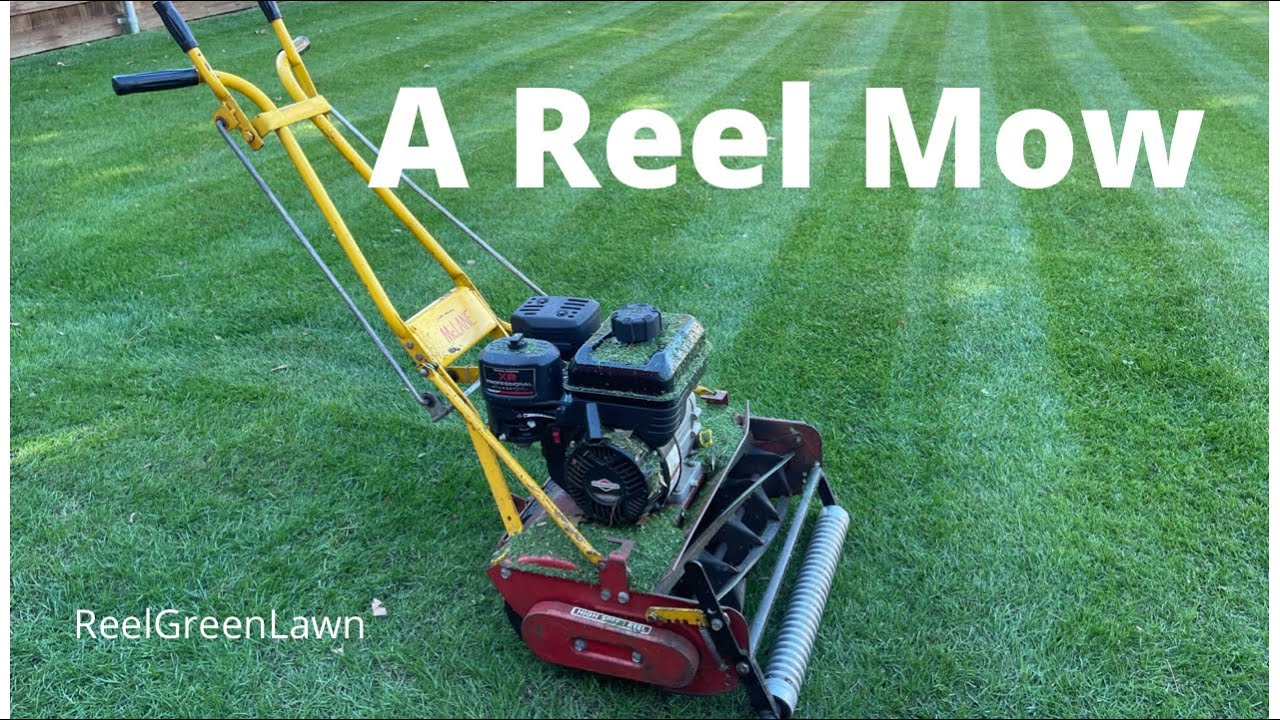 Grand Slam Perennial Rye - Last Reel Cut for the Winter - YouTube