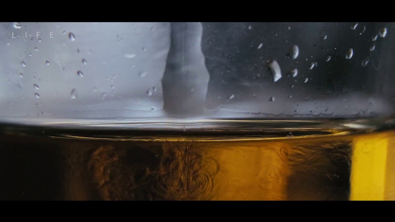 LIFE | EXPERIMENTAL SHORT FILM - YouTube