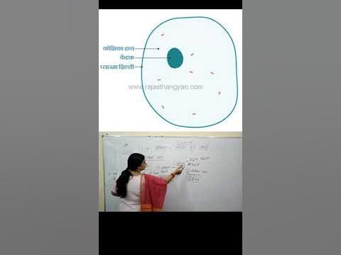 KOSHIKA JHILLI | CLASS=8 |SCIENCE |CH.=8 KOSHIKA-SANRACHNA OR PRAKARYA |HINDI MEDIUM| - YouTube