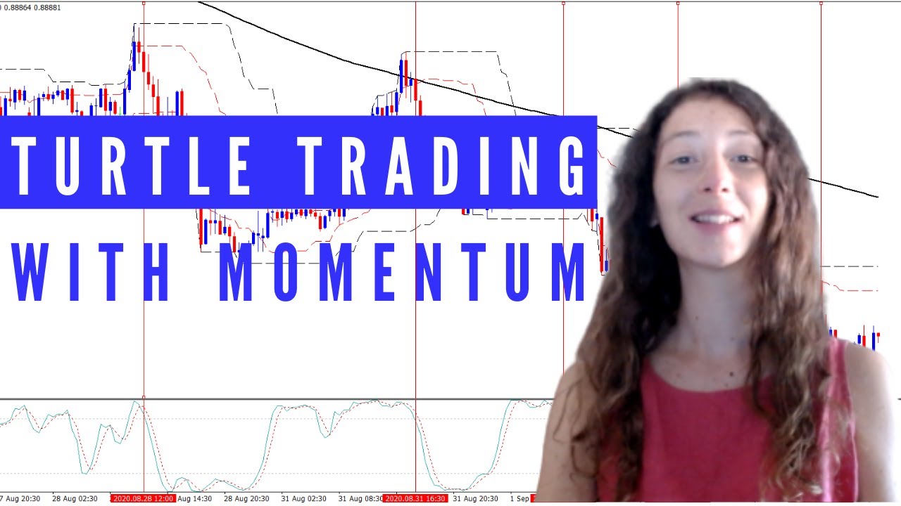 Turtle Trading Strategy with Momentum - YouTube
