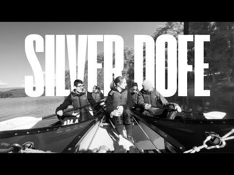 practice silver dofe. - YouTube
