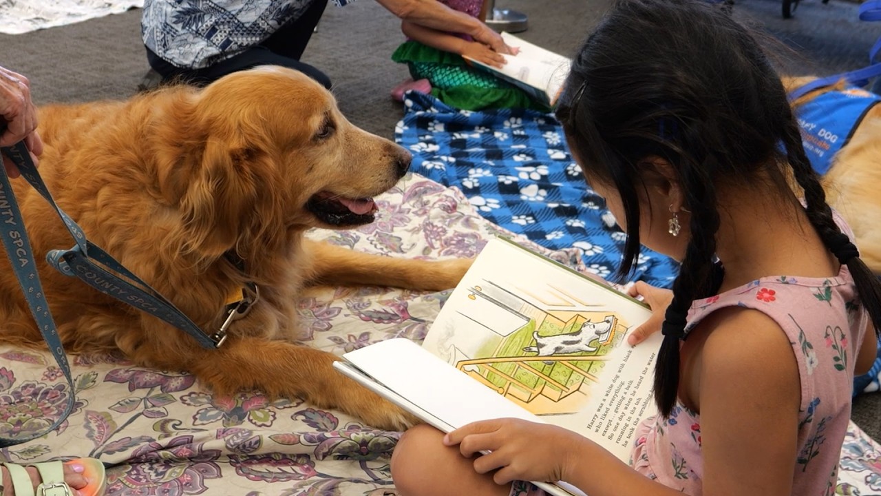 Join Orange County Public Libraries' Read to a Dog program! 🐾📚 - YouTube