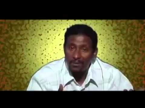 Mizan Tesfay Dehay Meraki