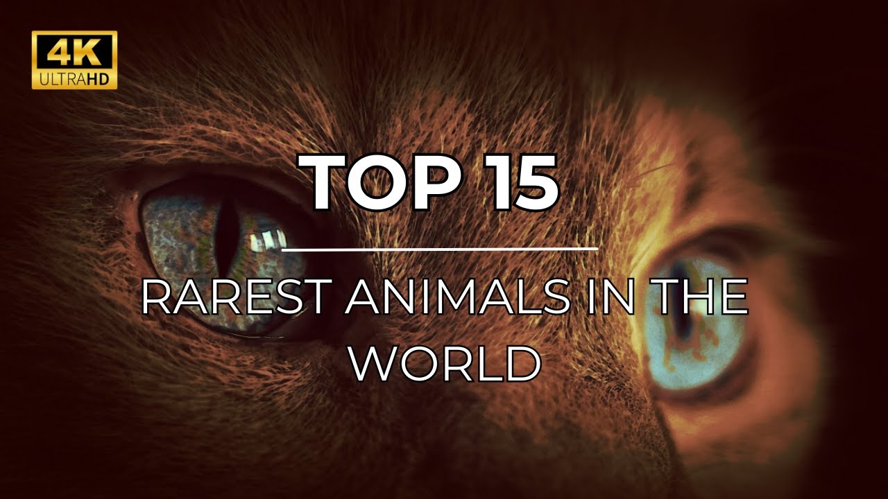 15 Most Fascinating Animals in the World! You’ve Probably Never Seen ...