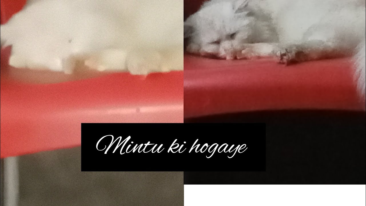 Hum bazar gaye bazar sa ai tu mintu bemar hogaya tha oska laka hospital ...