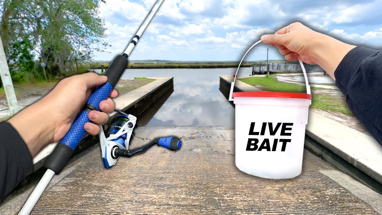 Fishing the BOAT RAMP! Eating Whatever I Catch! (Catch and Cook) - YouTube