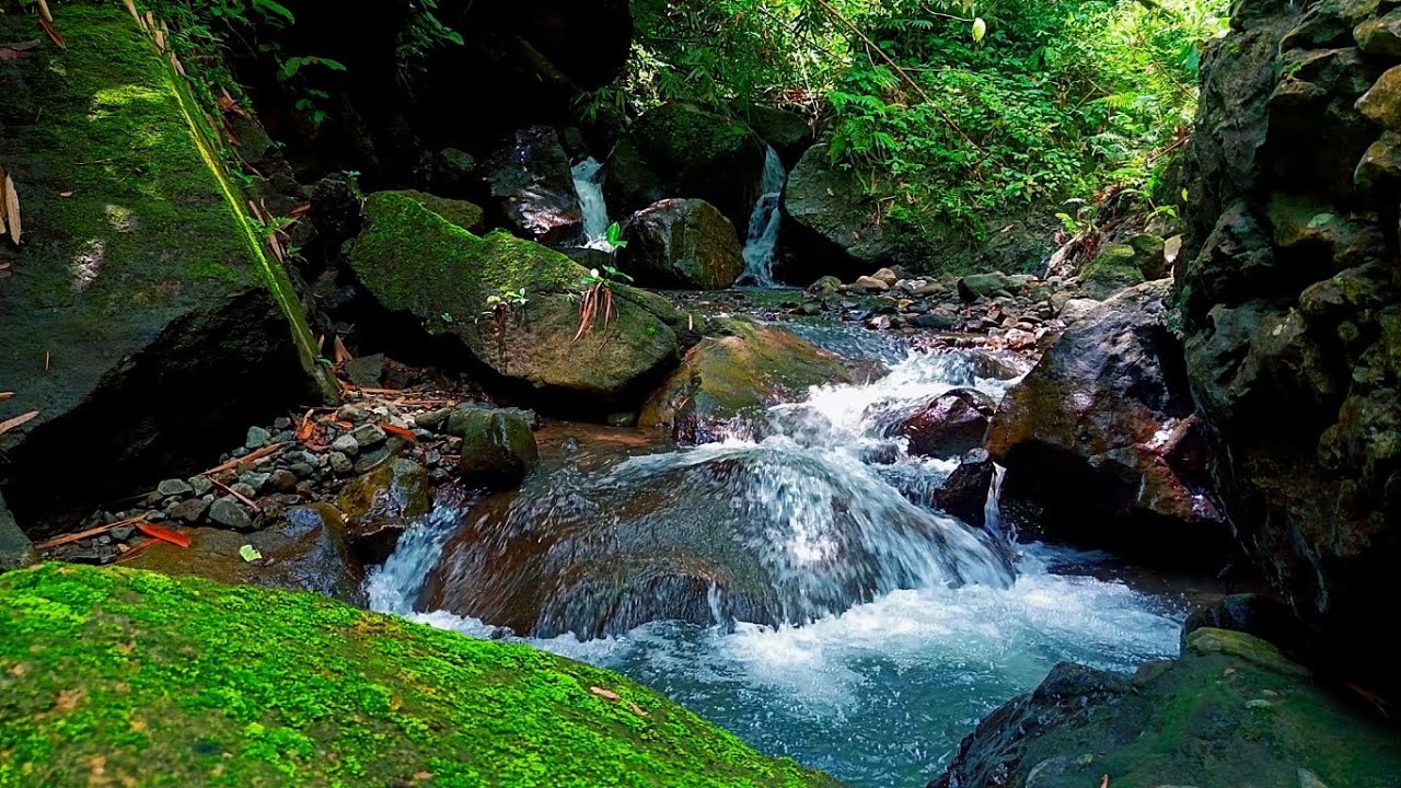 The River Soundscape for Deep Relaxing, Fall as Sleep, River Relaxation ...