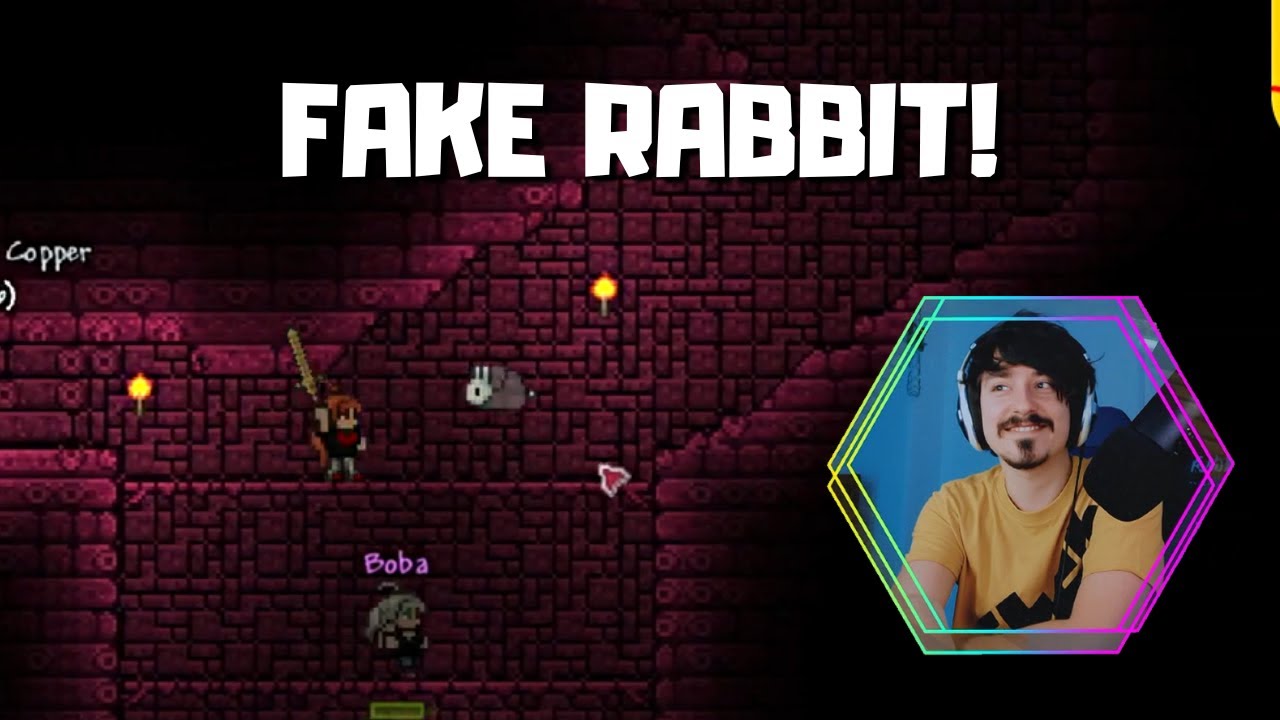 Avoid the fake rabbit - YouTube