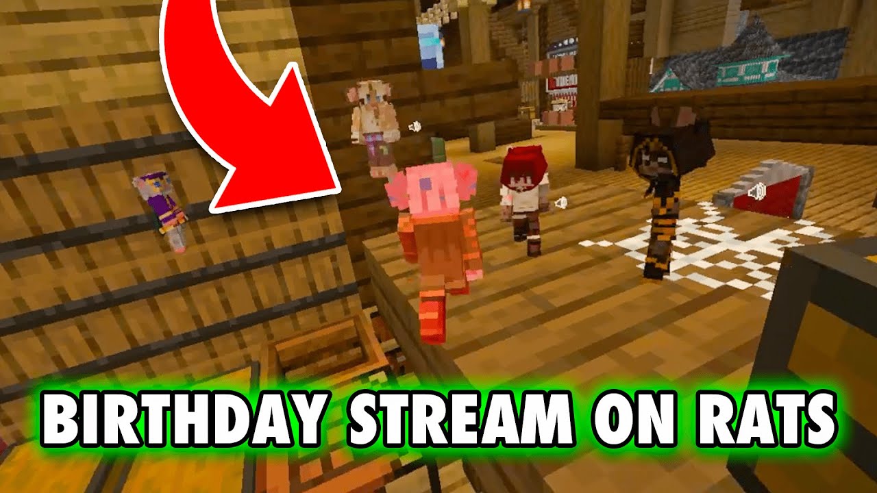 My BIRTHDAY On RATS SMP?! - YouTube