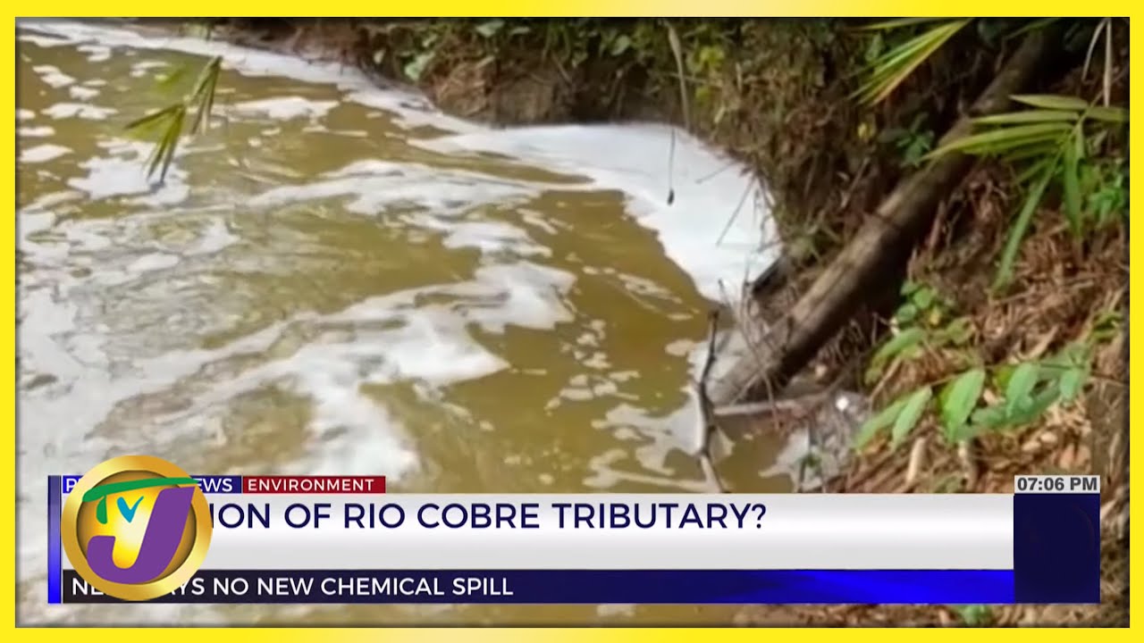 Pollution of Rio Cobre Tributary? TVJ News - Aug 23 2022 - YouTube