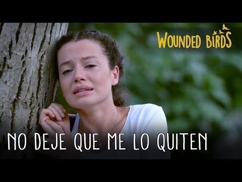 No deje que me lo quiten | Wounded Birds (Yaralı Kuşlar) Capítulo 89