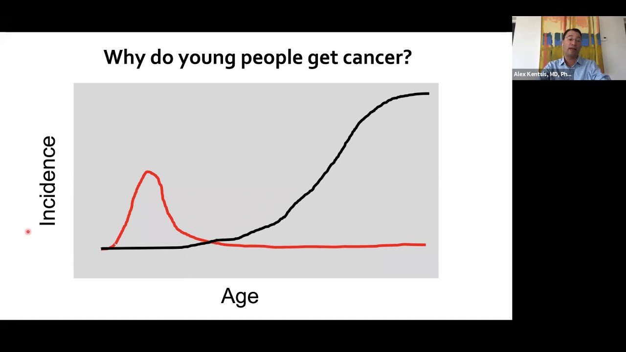 Why Do Young People Get Cancer? PGBD5 and Other Developmental Mutators ...