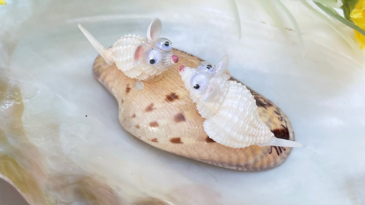 Let’s create seashell mice! A fun DIY with nature - YouTube