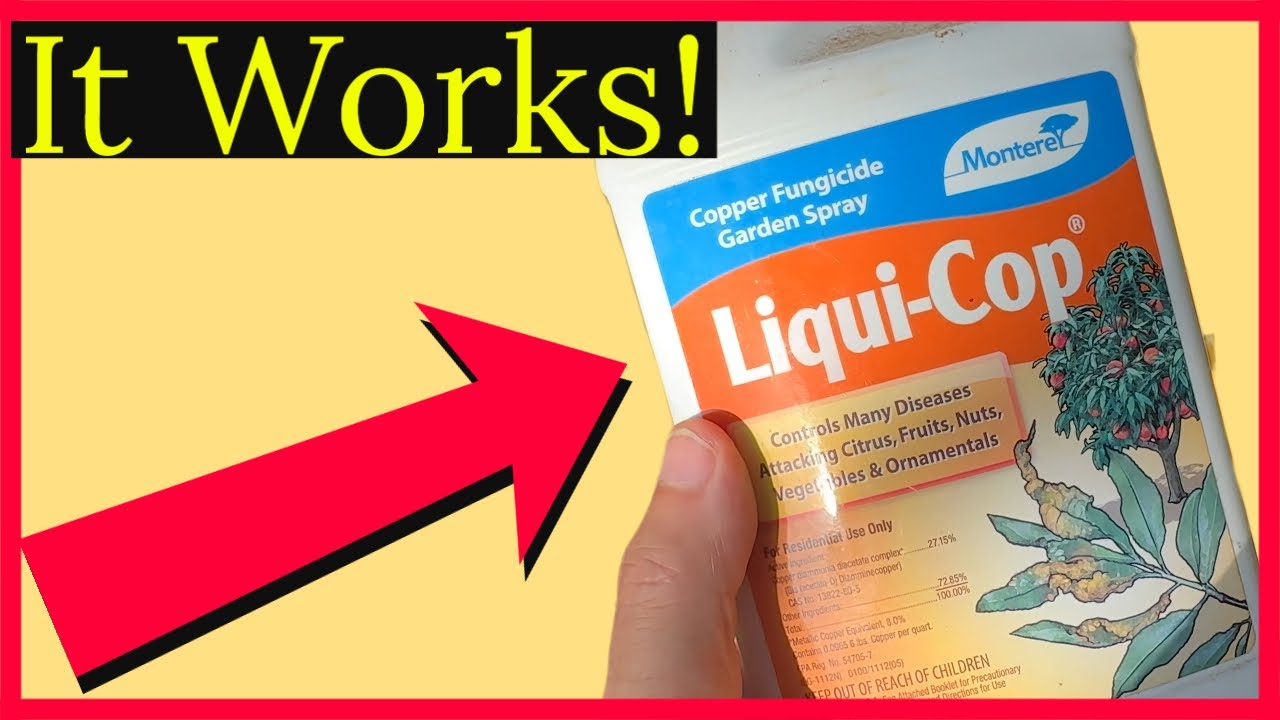 Monterey Pt Liquid Cop Concentrated Fungicide - YouTube