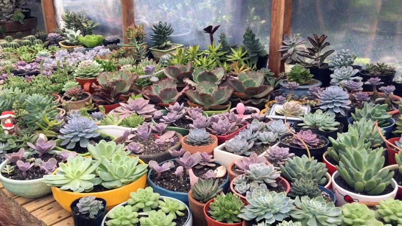 Guerrero Farm and Nature Park - YouTube