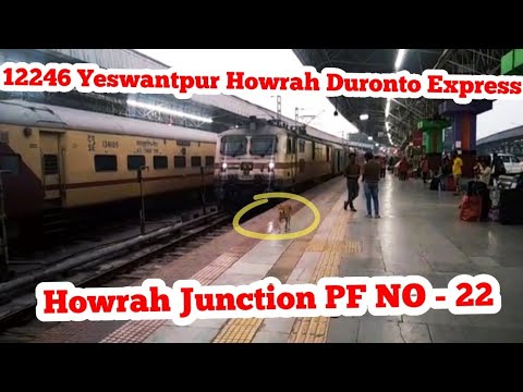 12246 Yeswantpur Howrah Duronto Express *A Dog 🐕 In Train* - YouTube