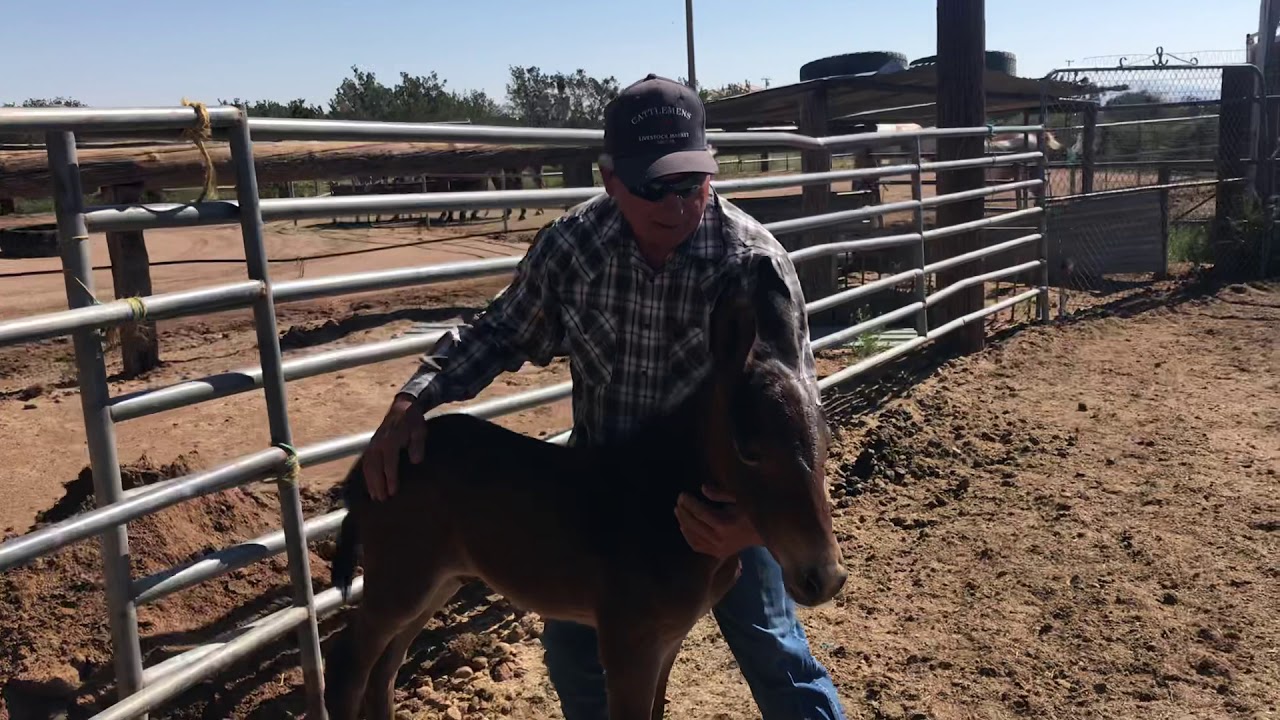 Jerry Tindell talks about The First Session part 2 - YouTube