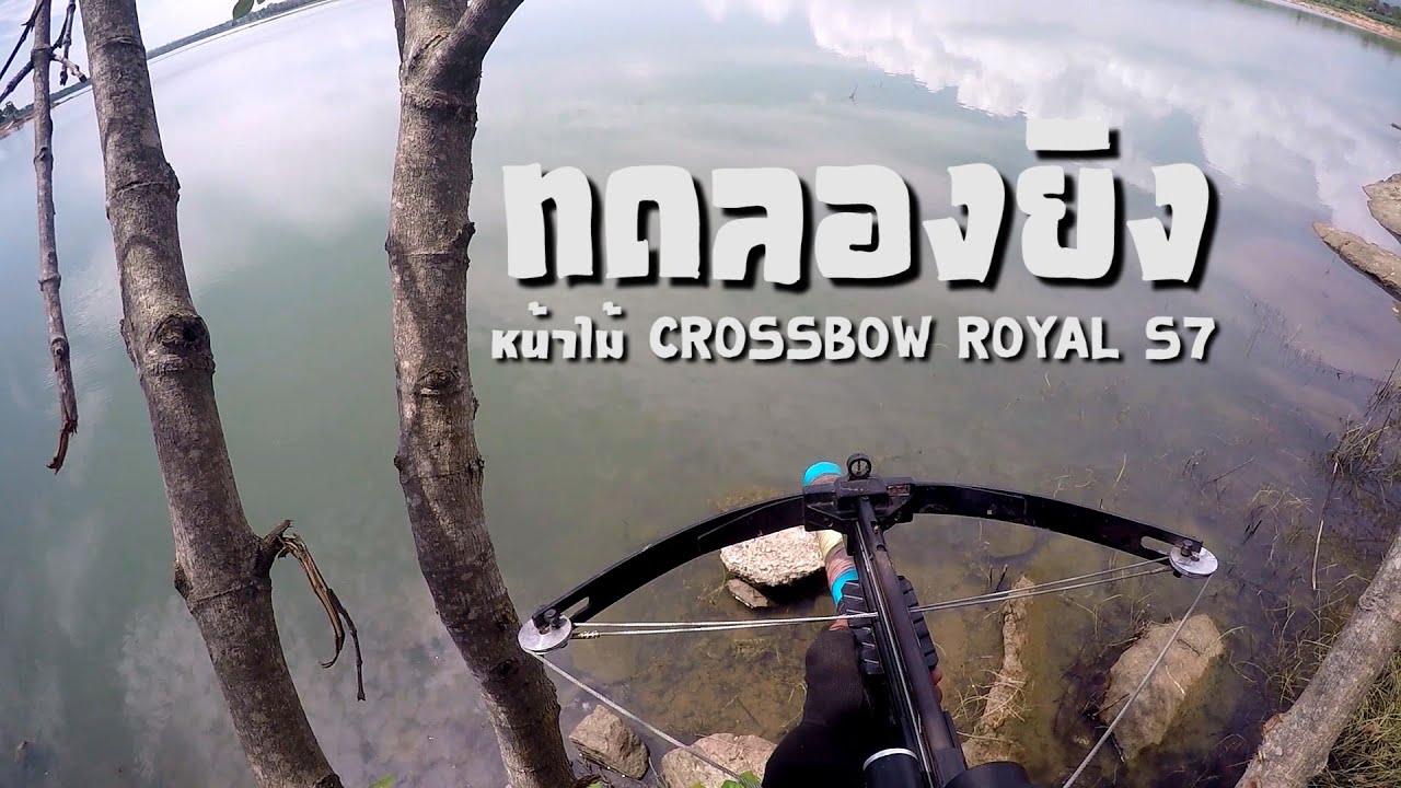 ลองยิงหน้าไม้ฝรั่ง "SHOOTINGFISH By "CROSSBOW ROYAL S7" | รายการ "หา ...