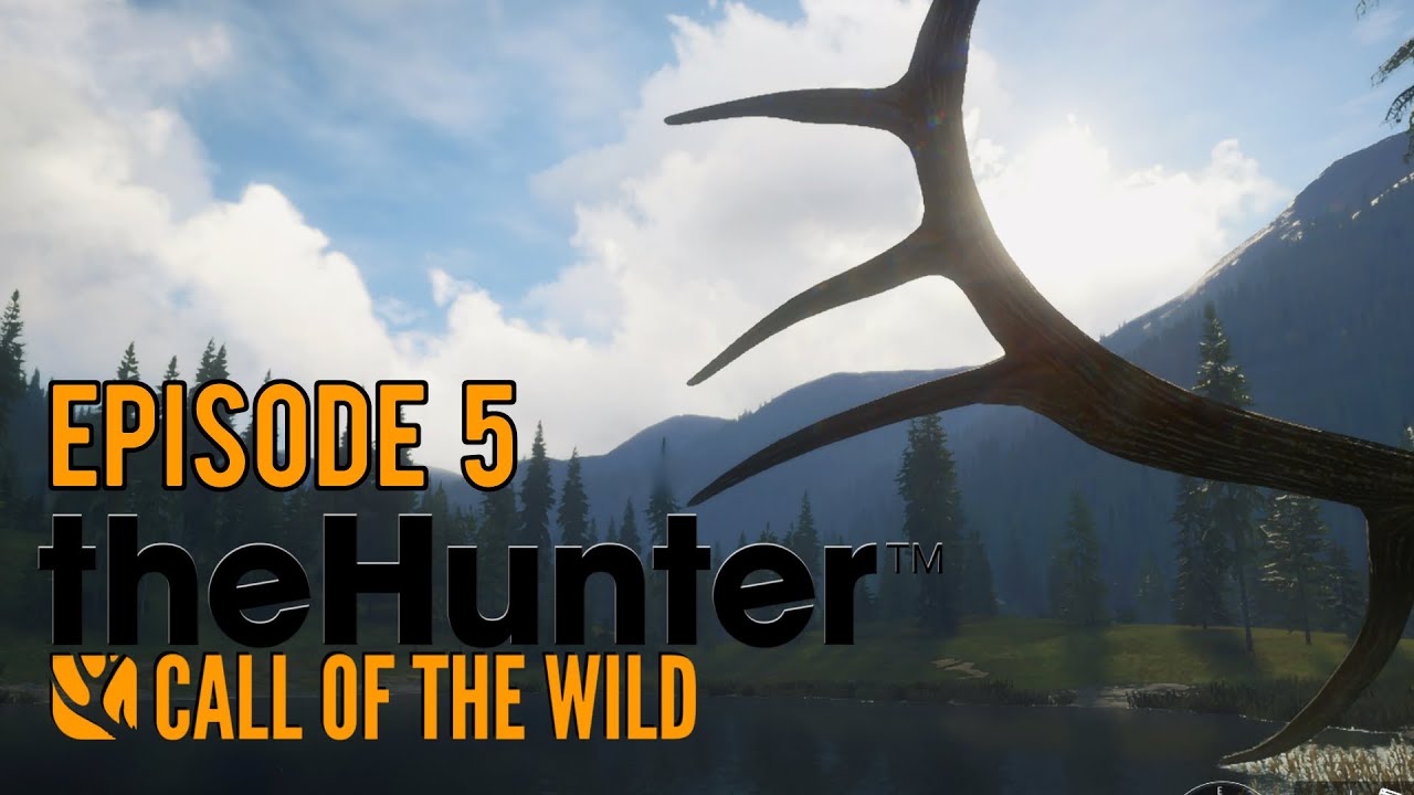 The Hunter COTW Off Season Hunting Ep 5 - YouTube