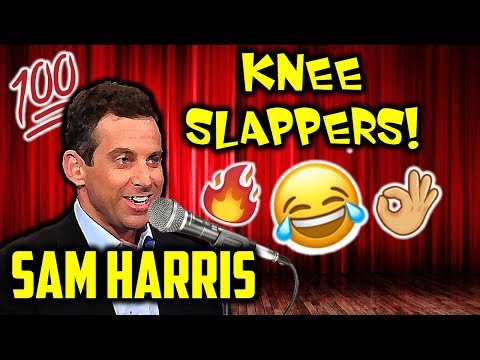 Those Times Sam Harris Made Us Slap Our Knees