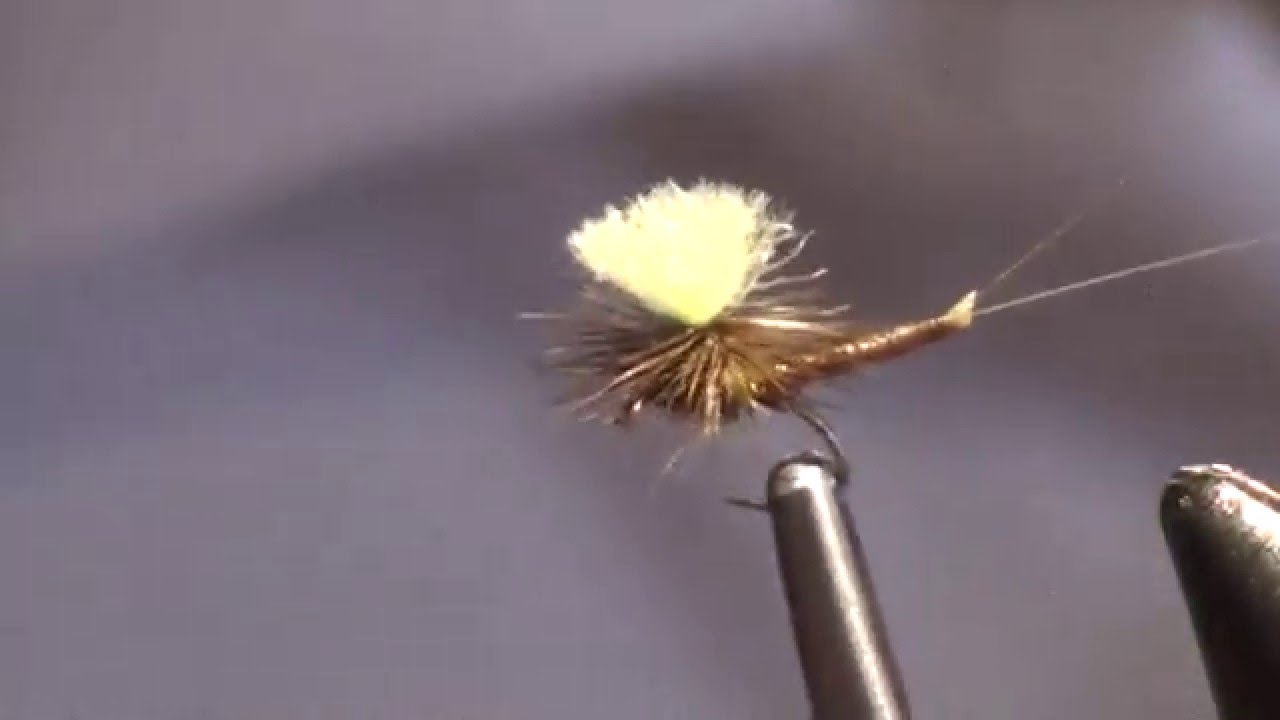 Is Your Fly Up??TM Extended Body Mayfly -Tying the Body (part 1) - YouTube