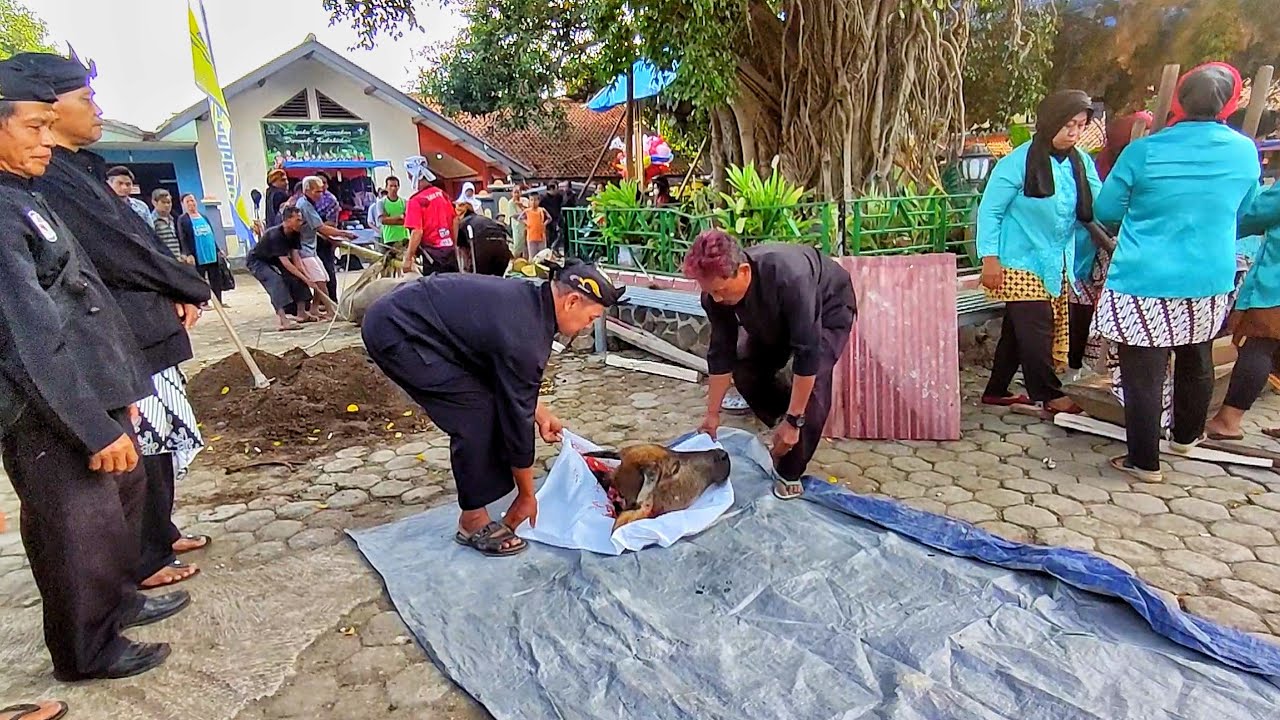 Menilik Ritual Ngarot, Tradisi Unik Dan Langka Di Jawa Barat - YouTube
