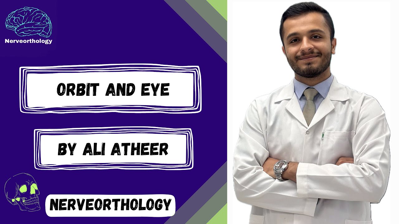 Head and neck anatomy | orbit and eye (part 2) - YouTube