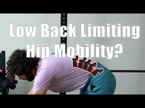Low Back Rounding - The Cause of Limited Hip Mobility? - (6-Step ...