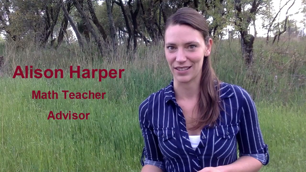 Bitney Prep Math Teacher, Alison Harper, tells you why she loves ...