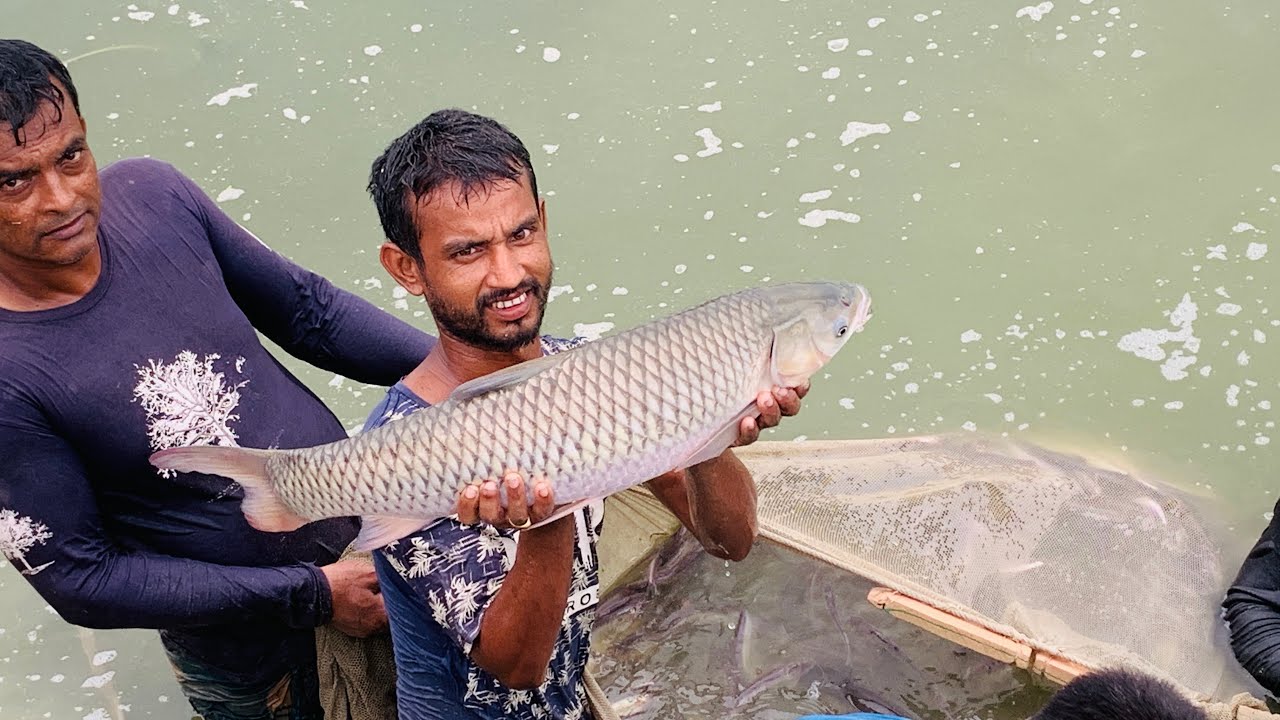 best net fishing videos ever - traditional catching net fishing in the ...