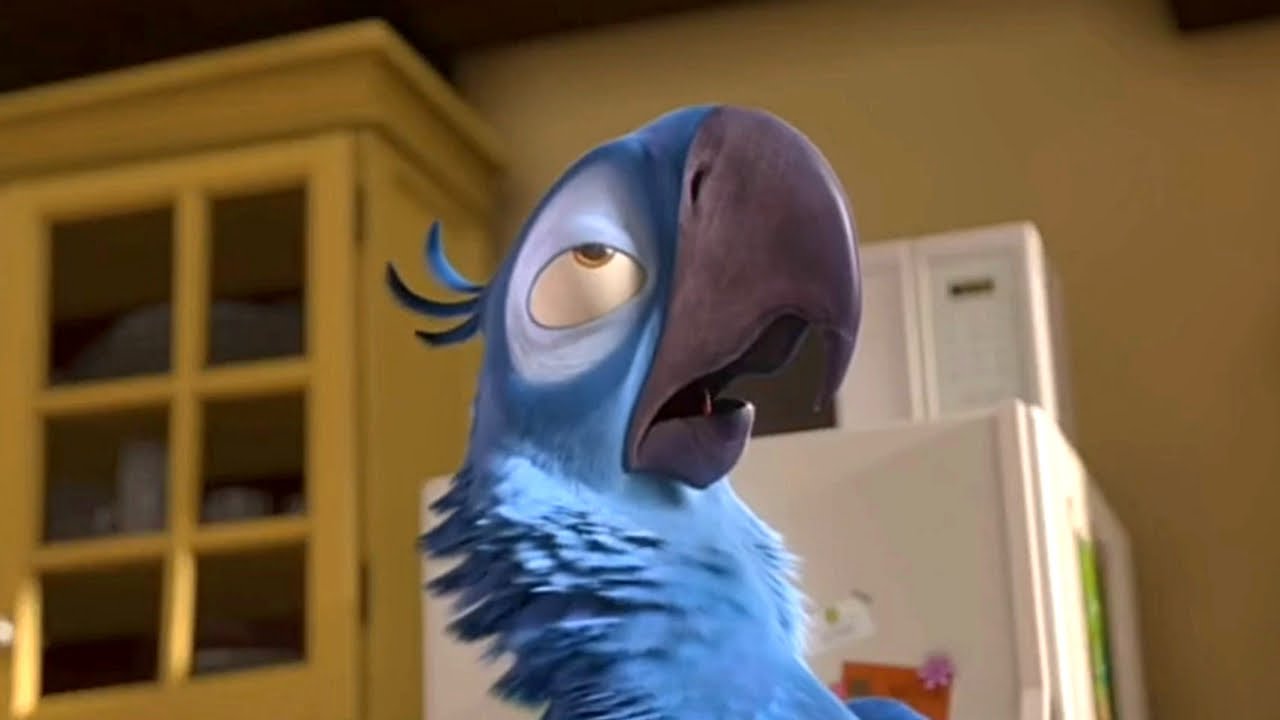 Rio 2 but The Context was Tragically Lost in the Amazon - YouTube