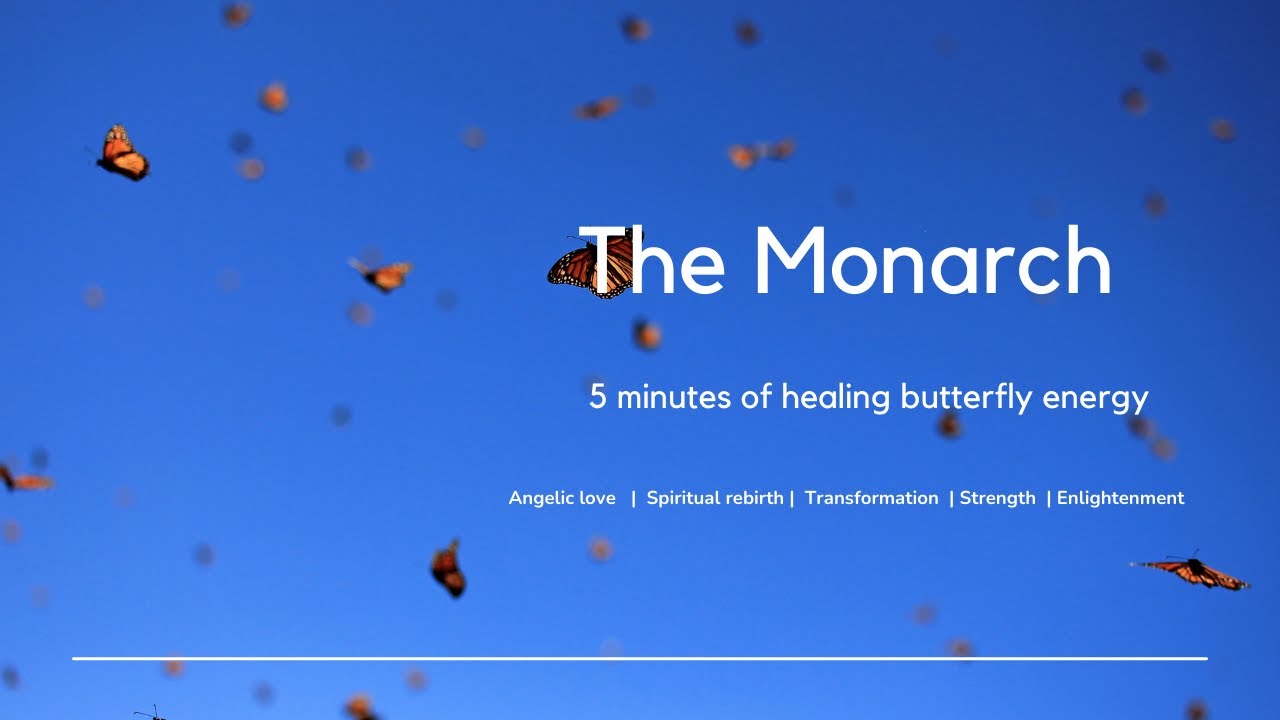 The Monarch - Relax, Refresh, and Energize your Mind, Body, and Soul ...