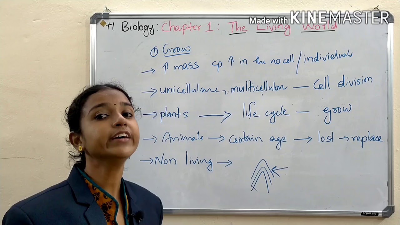 Plus One Biology Chapter 1 The Living World Part 1 YouTube plus-one-biology-chapter-1-the-living-world-part-1-youtube
