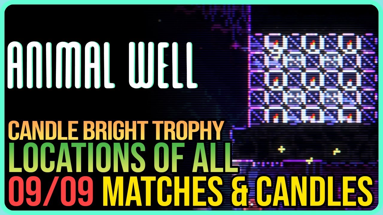 All Matches and Candles Animal Well - YouTube