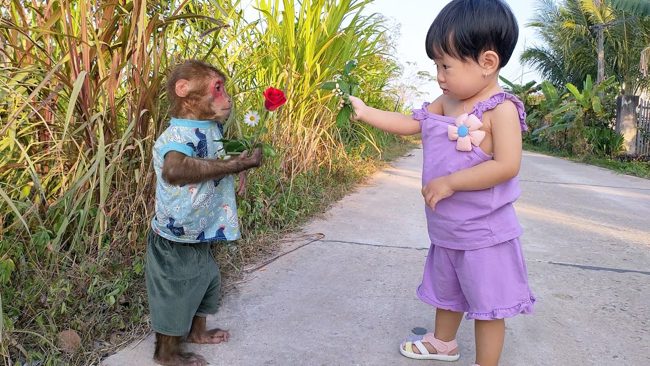 A fun walk with monkey Kobi and baby Ceri - YouTube