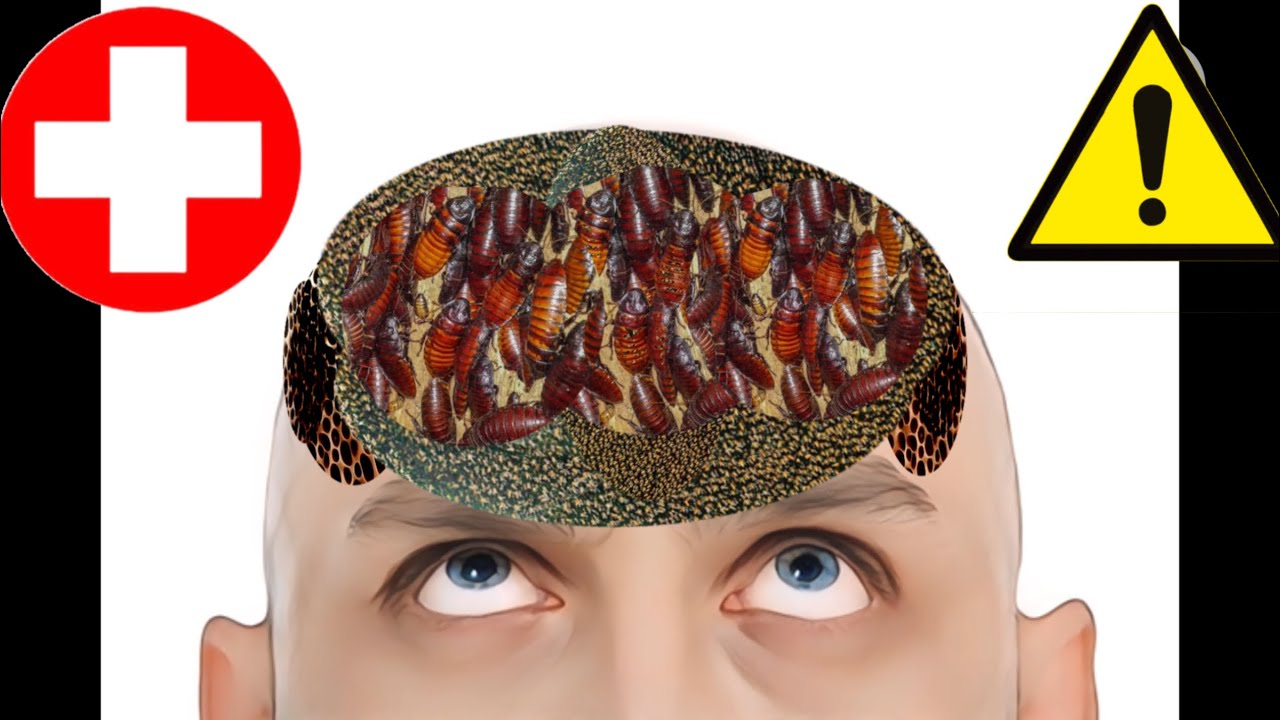 😱😎Enjoy The luxurious bald spa | Caring ASMR TINGLES & stress relief ...