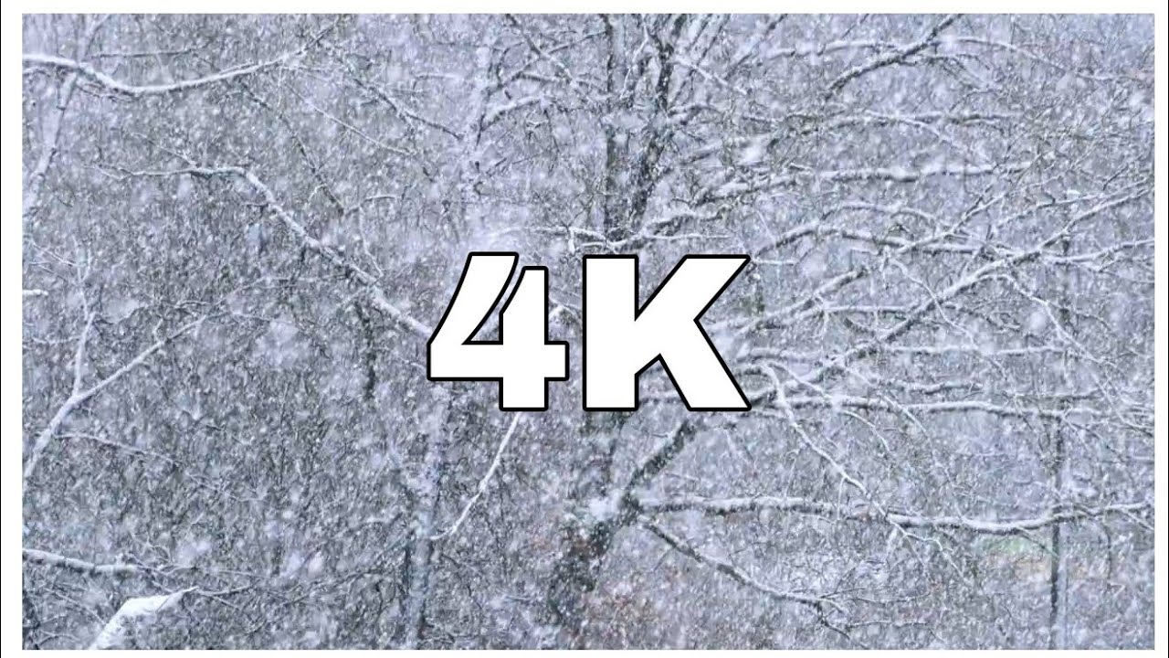 Snowfall 4K No Copyright Video | Free Snowing 4K Video - YouTube