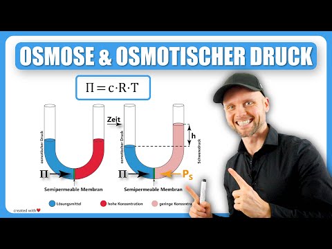 Osmose und Osmotischer Druck