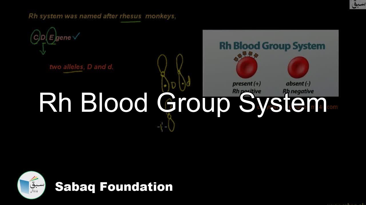 Rh Blood Group System, Biology Lecture | Sabaq.pk - YouTube