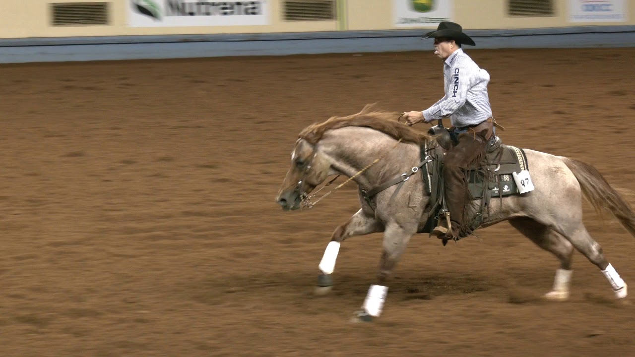 Quahadi - 2019 AQHA World Show Sr. Cow Horse Finals - YouTube