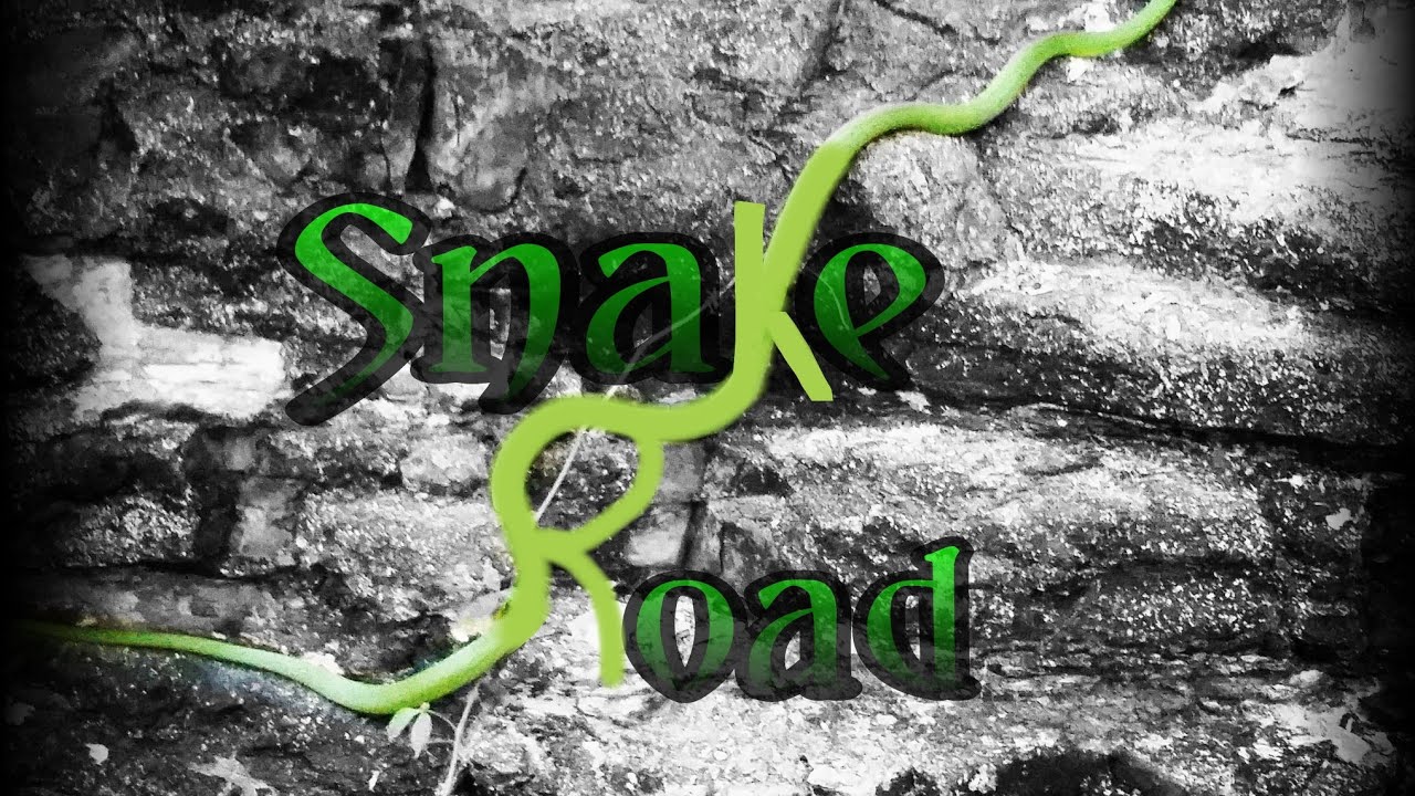 Snake Road Illinois Fall Migration at its PEAK ! Herping Southern ...