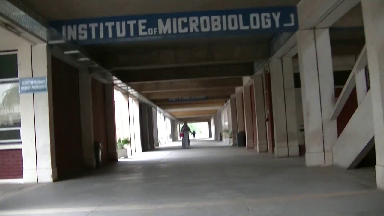 Corridor of University of Agriculture Faisalabad Pakistan Part 2 - YouTube