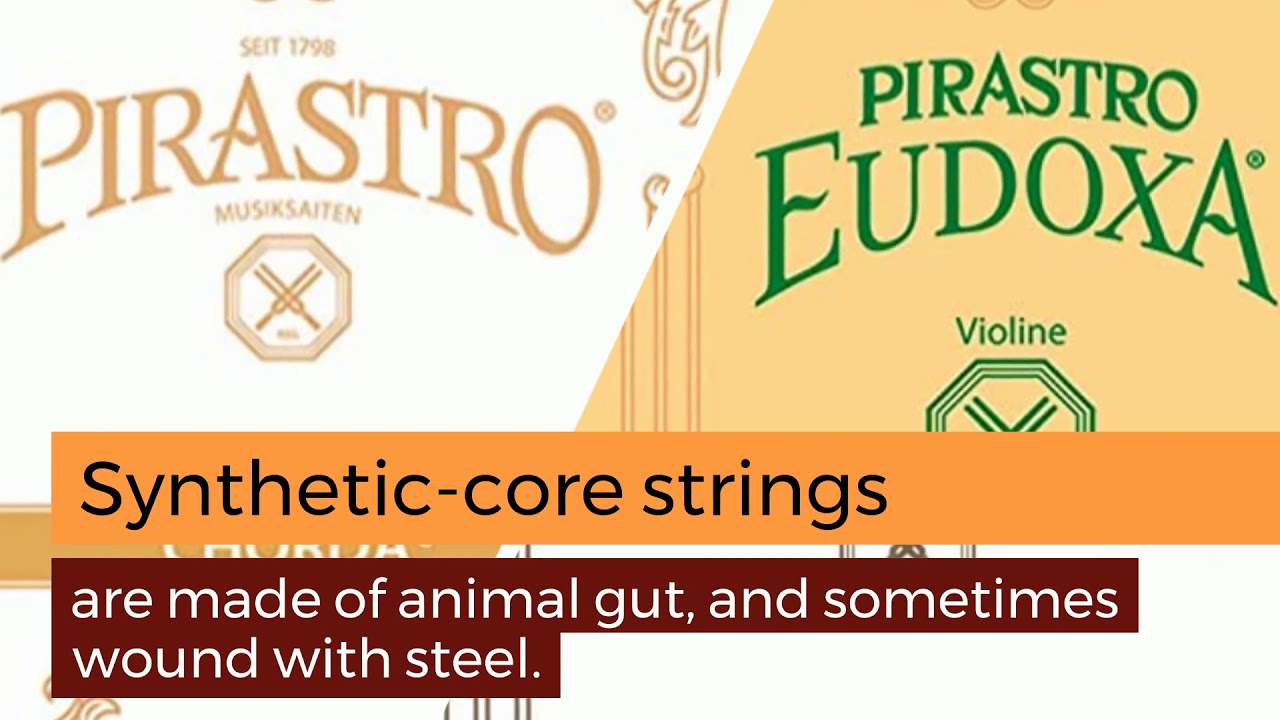What about gut strings? - YouTube